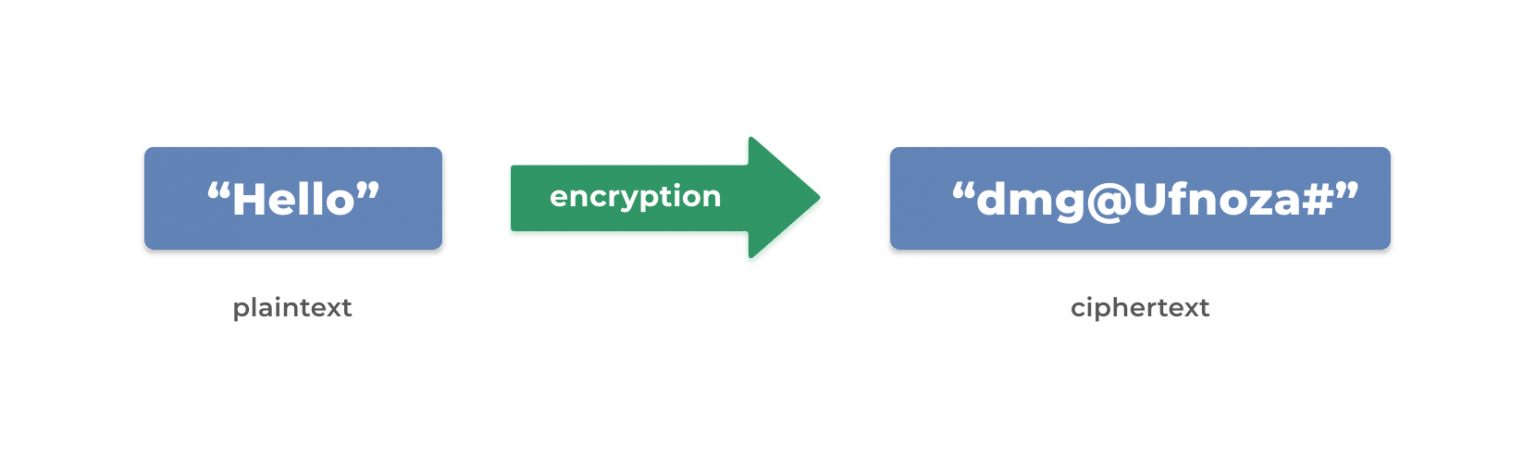 Can Locker access and read your data?